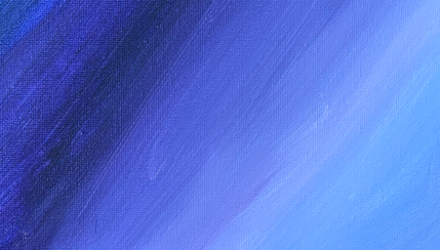 Should I use PRIMER or R? | PRIMER-e Learning Hub