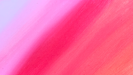 A Quick Guide to PRIMER 7 | PRIMER-e Learning Hub